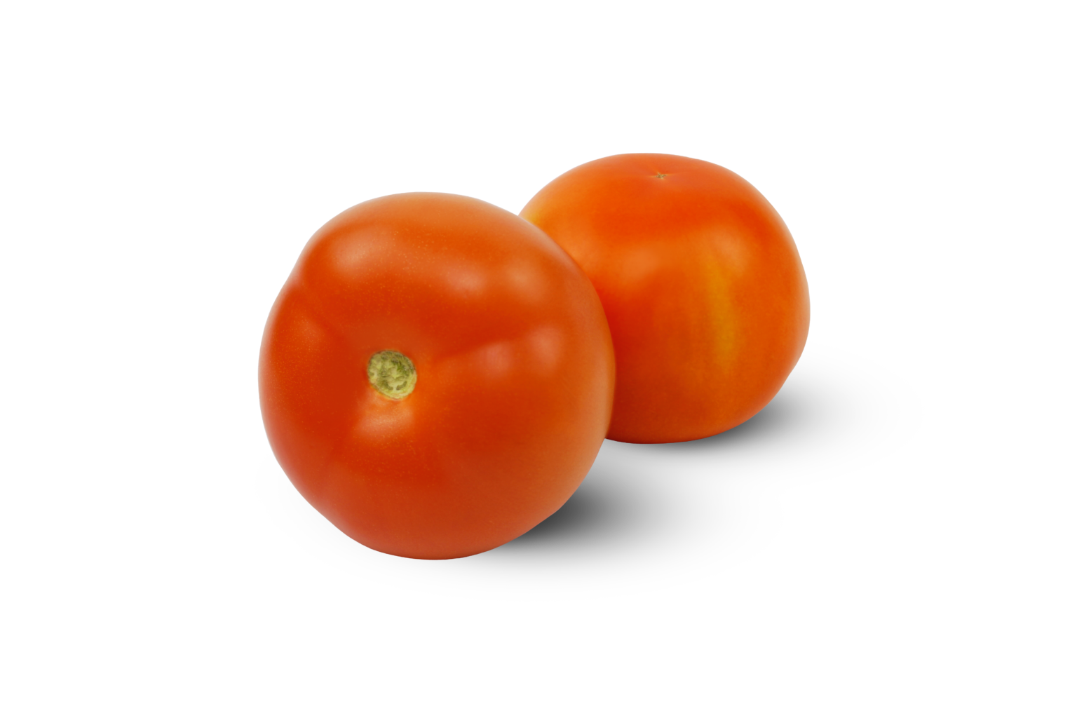 Long life tomato - ExpoAguilas