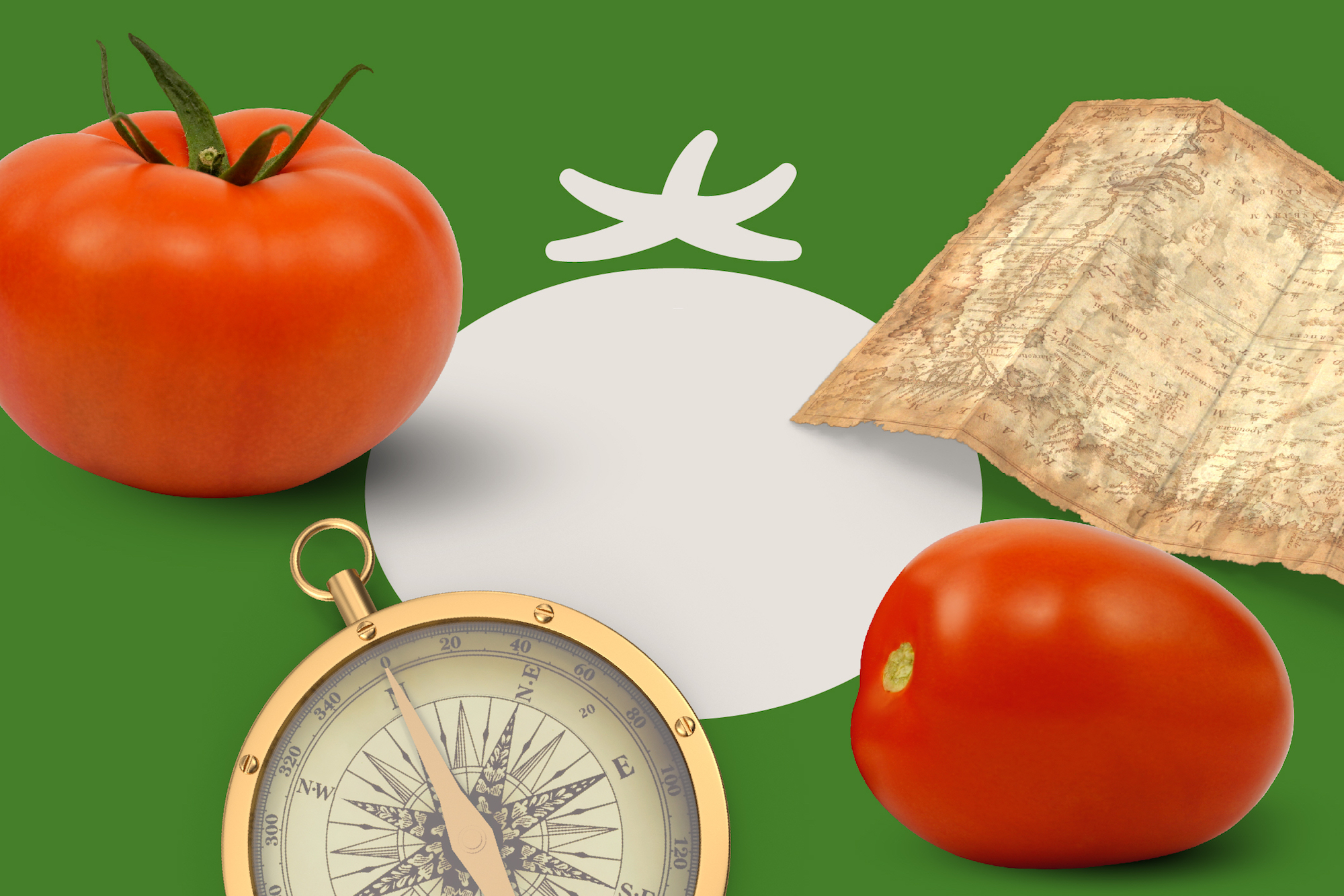 The history of the tomato: From its origins to our fields - ExpoAguilas